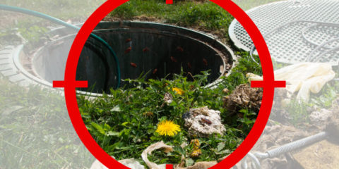 Septic Tank Treatments | Professional Pest Control Aruba and Bonaire