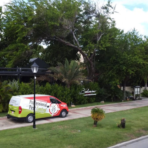 Protecting Your Vacation Property: Discover How Termidor® 80 WG Helps ...