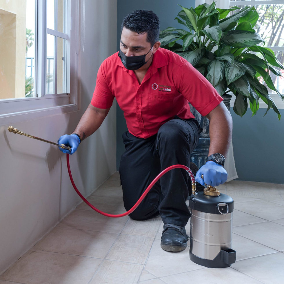 Professional Pest Control Aruba and Bonaire | PPC